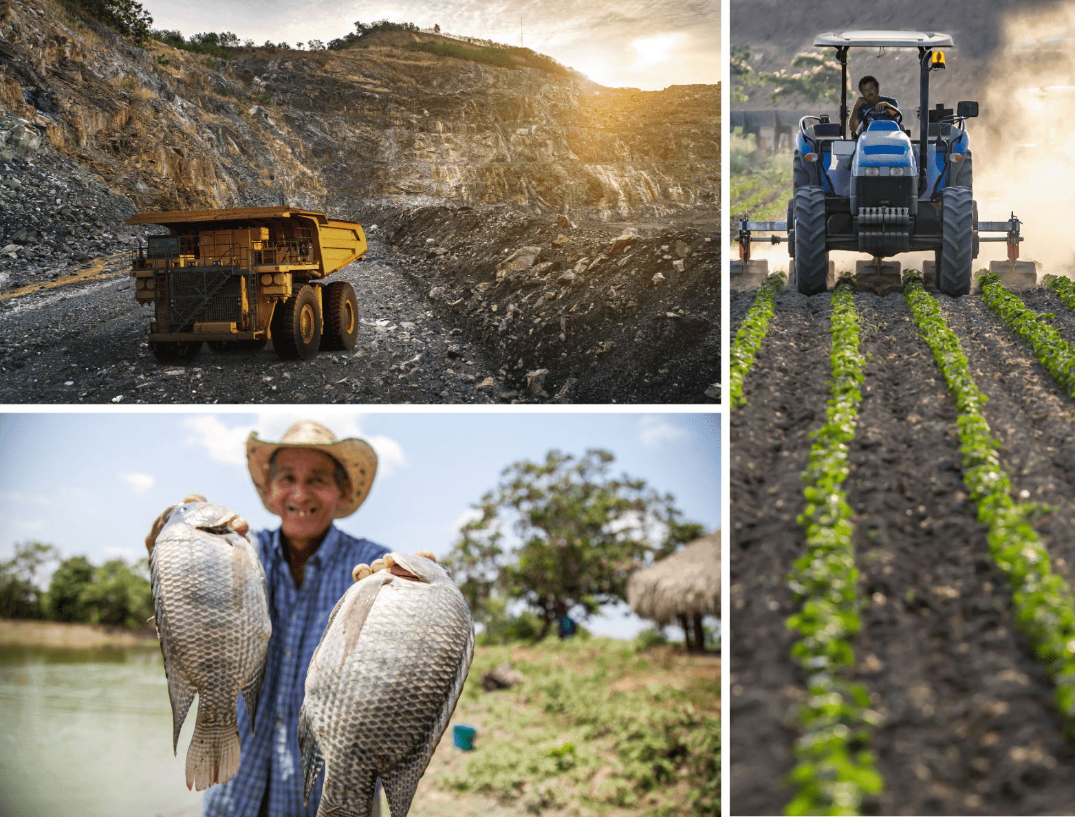Minería, agroexportación y pesca lideran la generación de empleo en ...